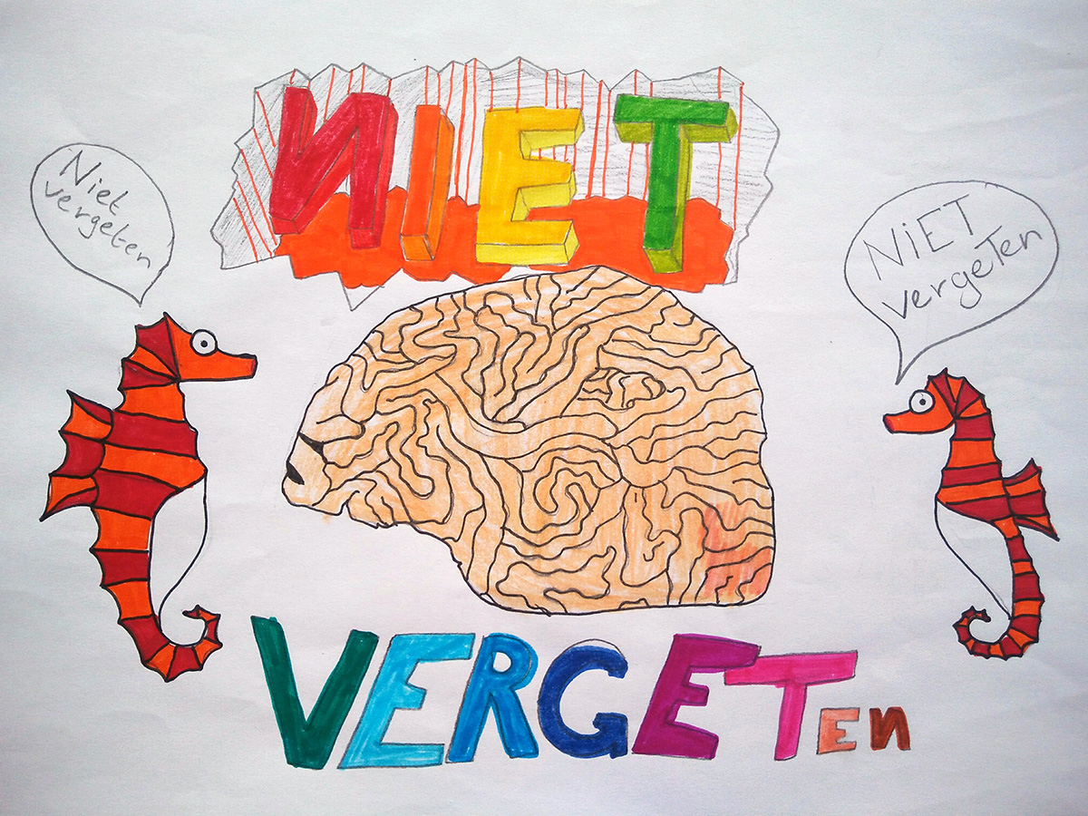 niet vergeten 7+, een voorstelling van Hoge Fronten